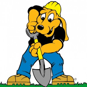About Digger Dog – Digger Dog